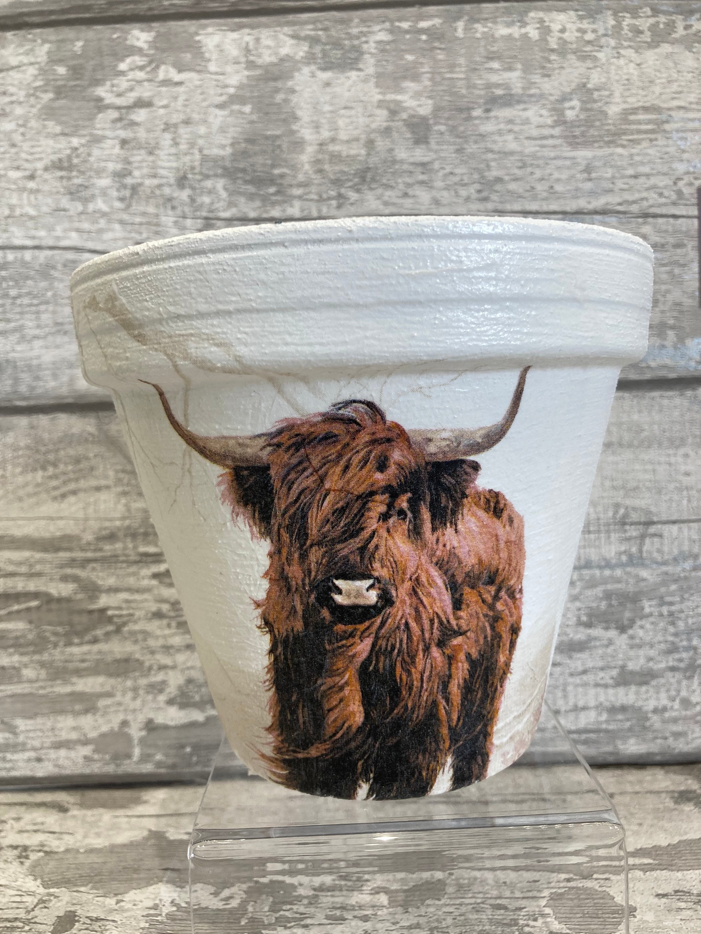 Highland cow plant pot for inside or out decoupaged robins | Etsy