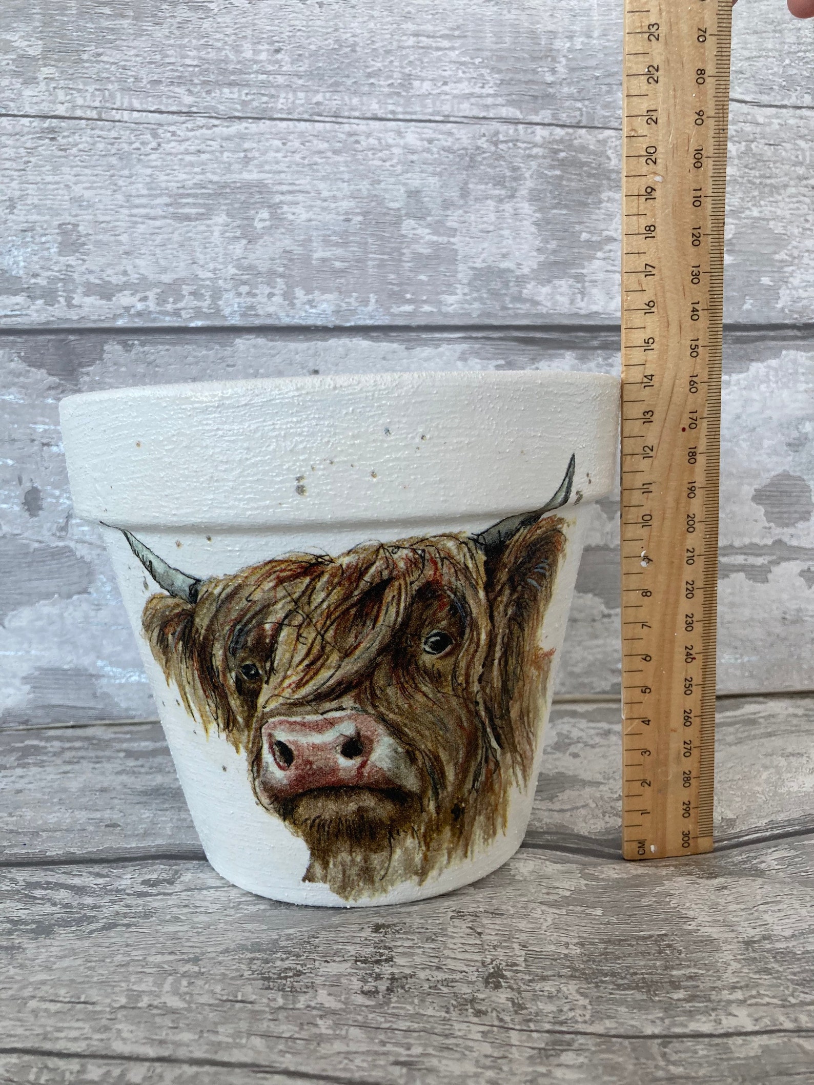 Highland Cow Pot for Inside or Out Decoupaged, Cows Garden Gifts - Etsy