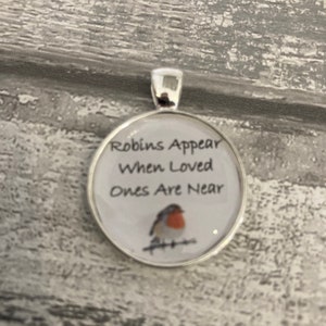 Robin Light up Bottle, LED, Decouoage, Christmas, Spring, Robin - Etsy