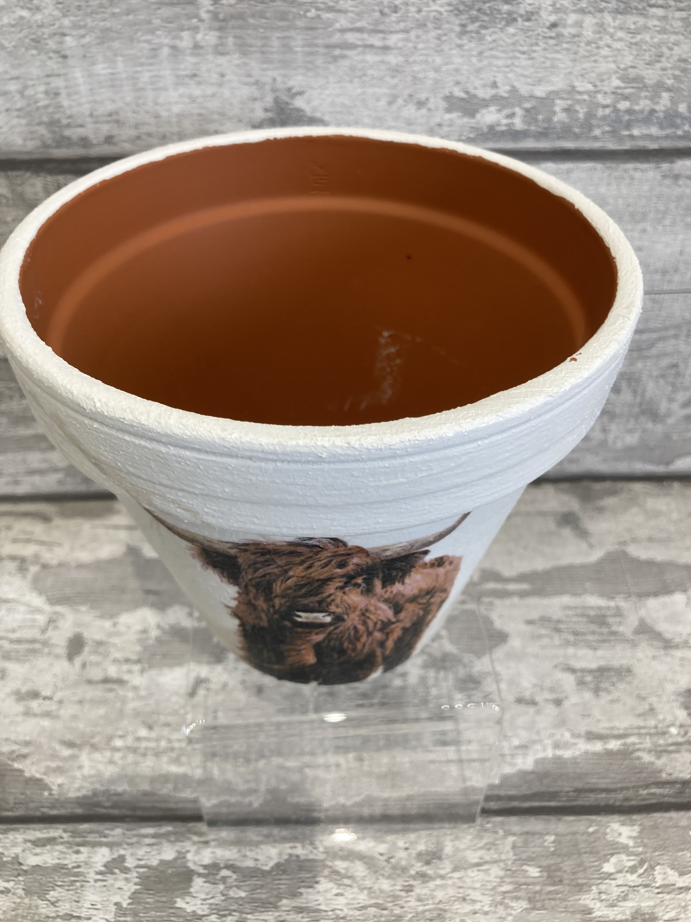 Highland cow plant pot for inside or out decoupaged robins | Etsy