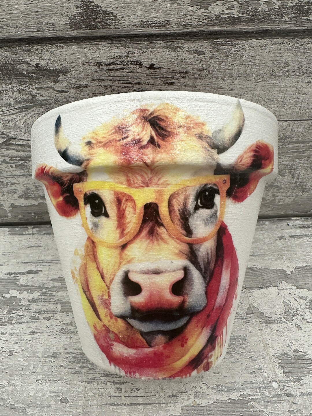 Highland Cow Pot for Inside or Out Decoupaged, Cows Garden Gifts - Etsy