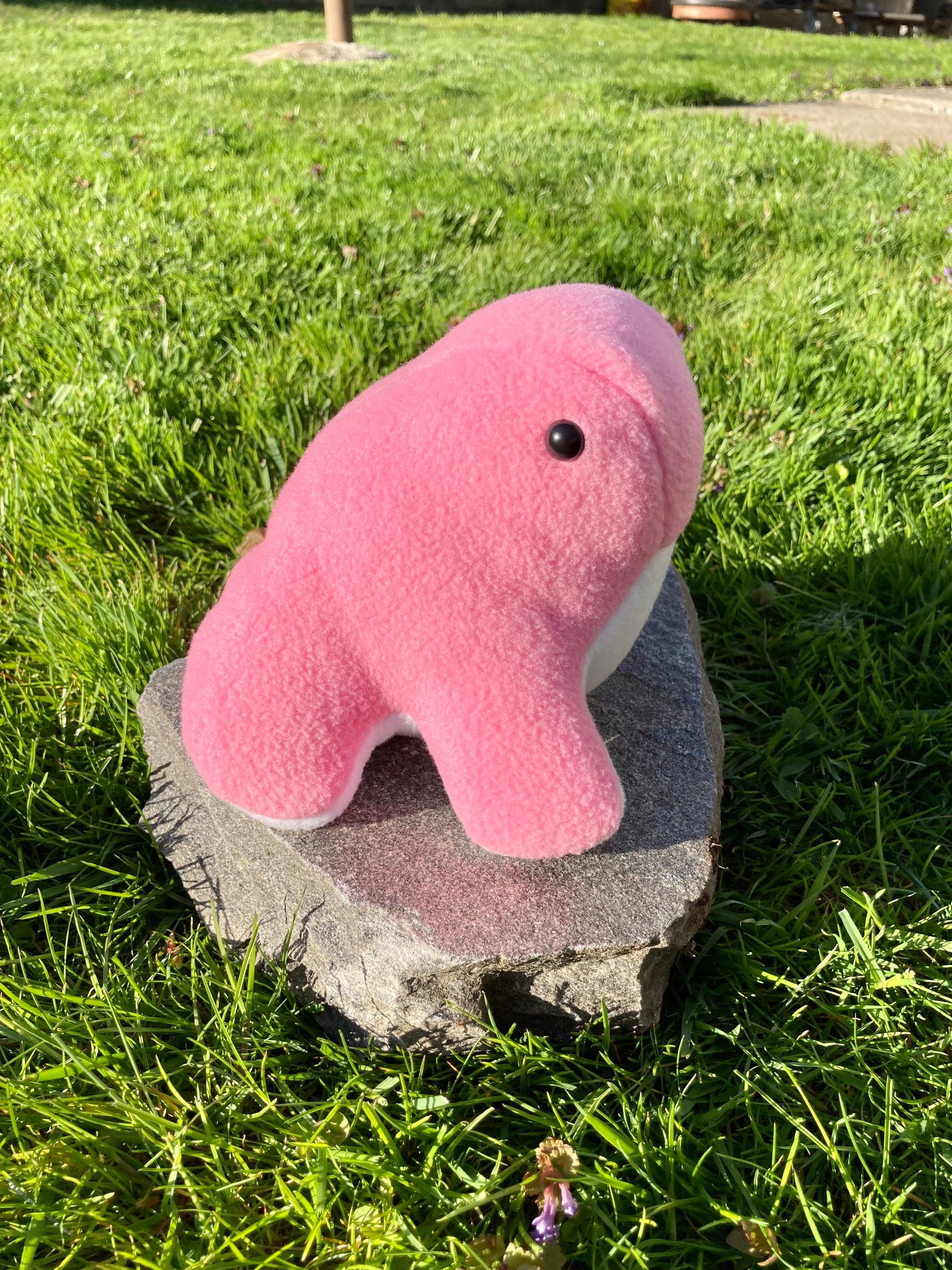 Frog Plushie Pink Toad Plush - Etsy