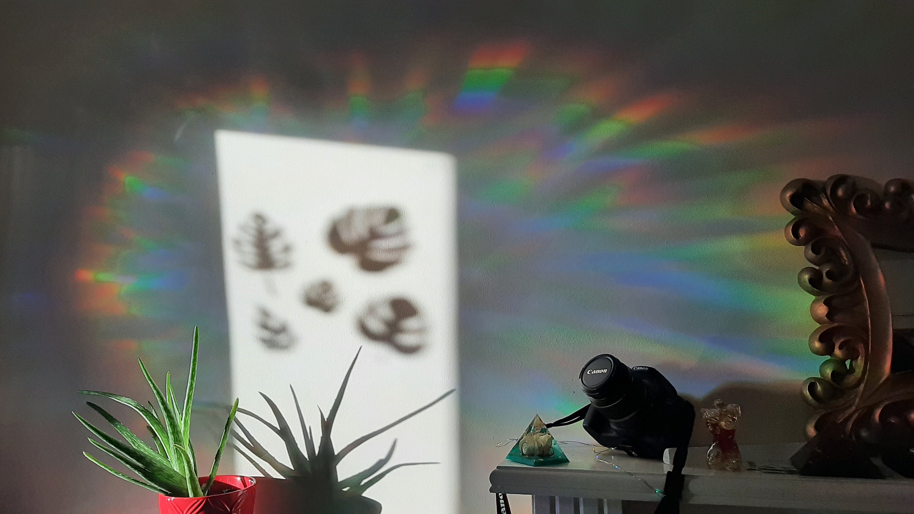 Rainbow Monstera Suncatcher Sticker Monstera Leaf Plants Sun - Etsy UK