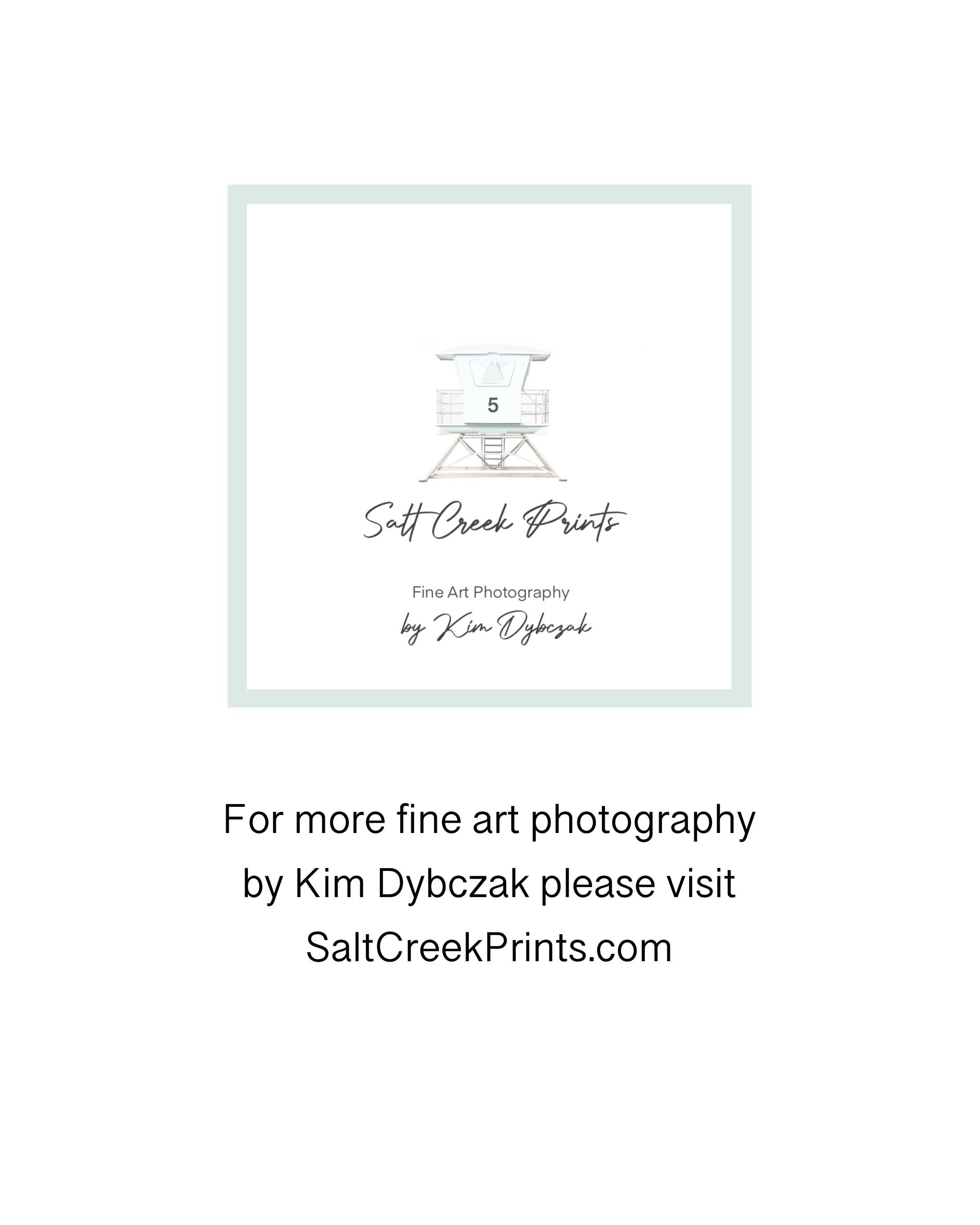 Sunset Cliffs 9137| Sunset Cliffs Print| Point Loma| California ...