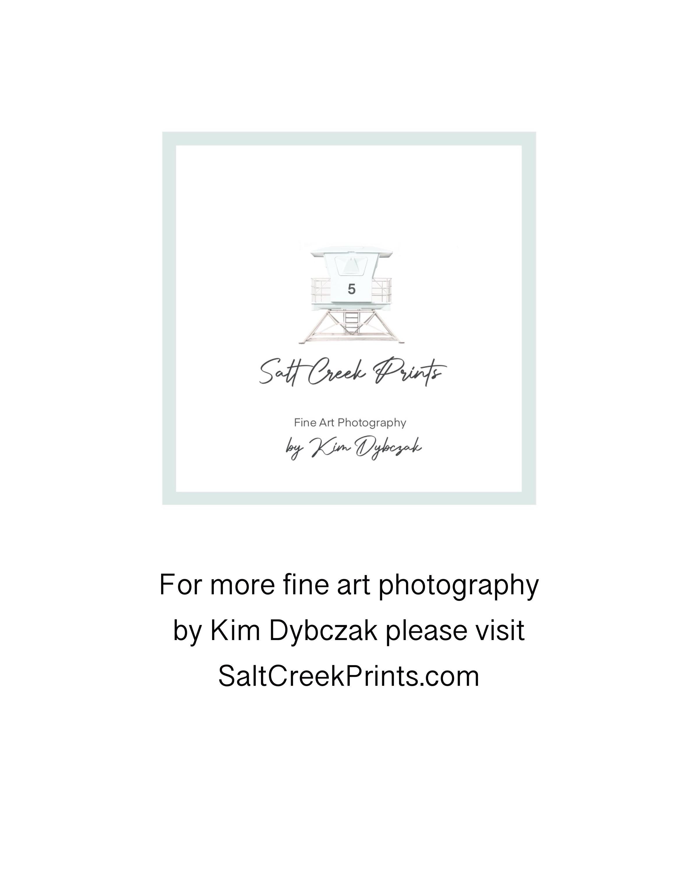 Carlsbad 2303| Carlsbad State Beach| Terramar Point| North Ponto| San ...