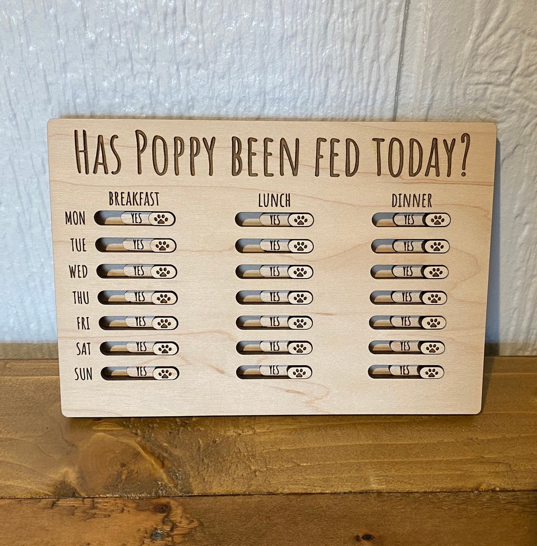 Three Times A Day Cat Feeding Tracker - Personalized Pet Reminder ...
