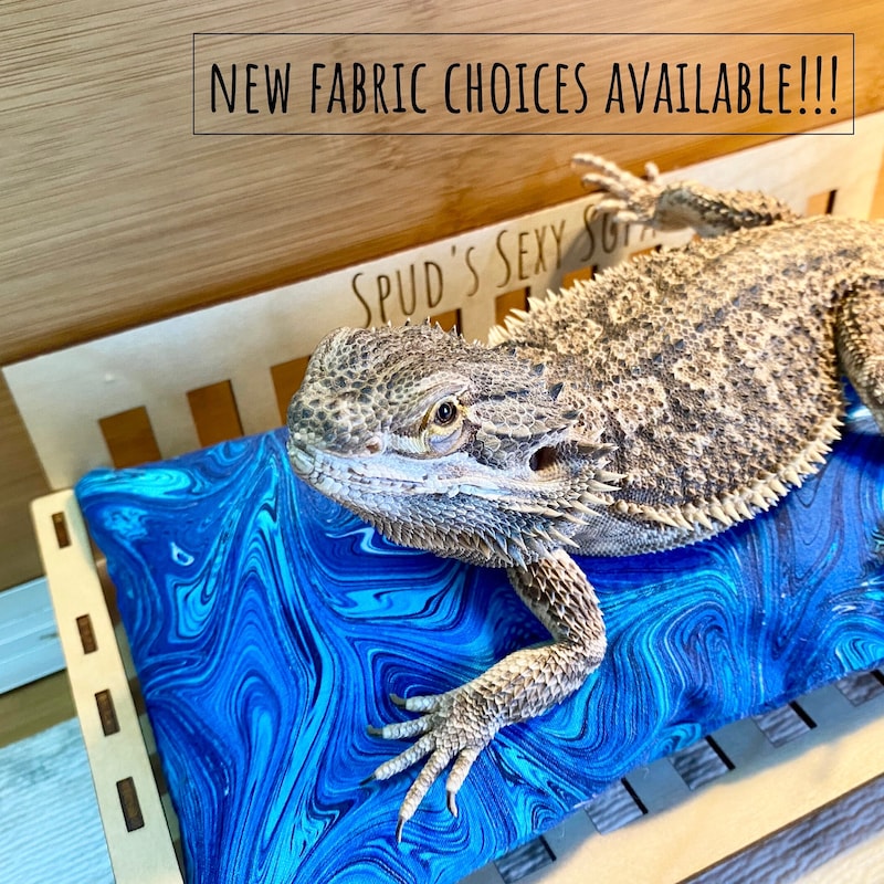 Dragon Accessories - Etsy