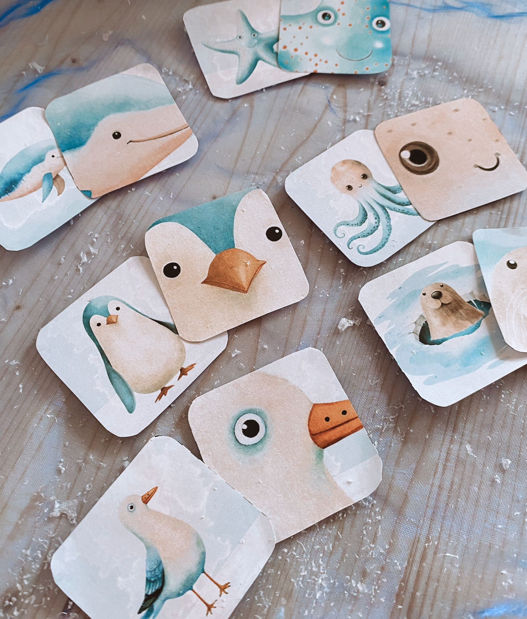 Arctic Memory, Arctic, Study, Memory, Arctic, Montessori, Homeschooling ...