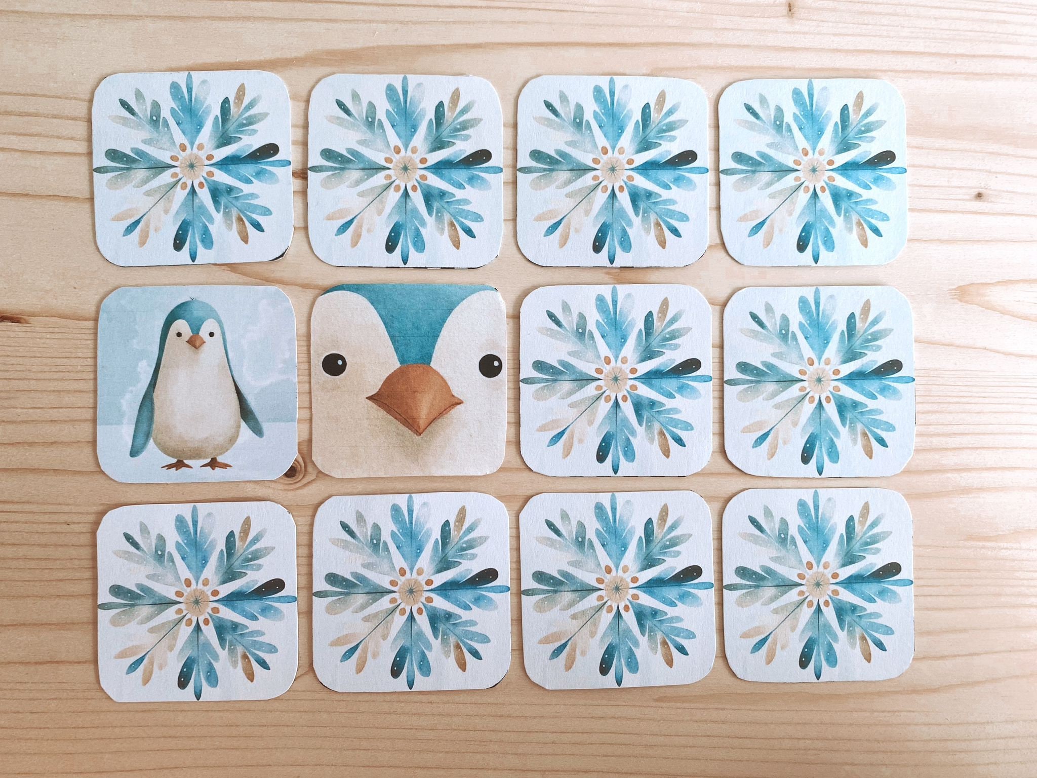 Arctic Memory, Arctic, Study, Memory, Arctic, Montessori, Homeschooling ...