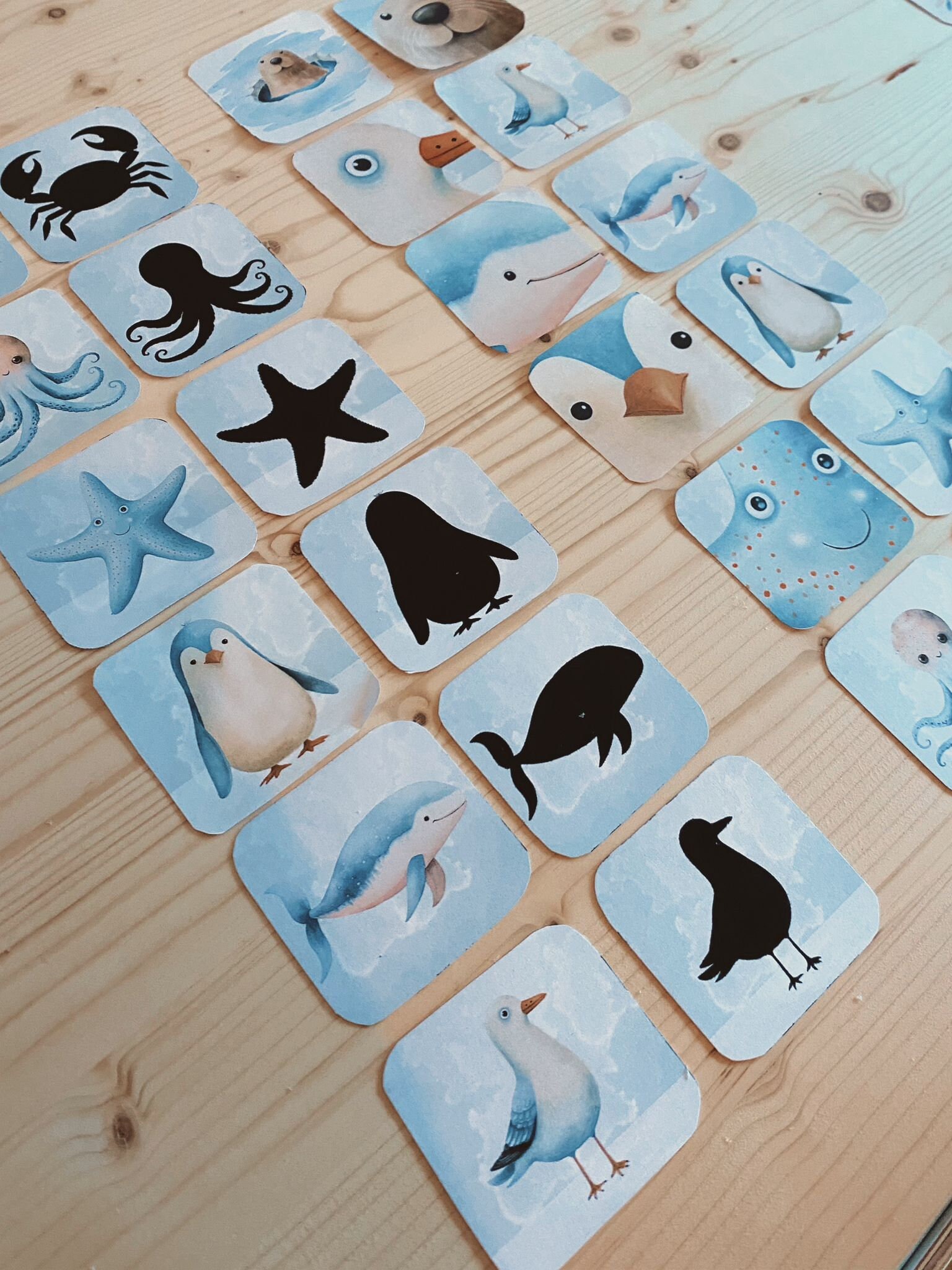 Arctic Memory, Arctic, Study, Memory, Arctic, Montessori, Homeschooling ...
