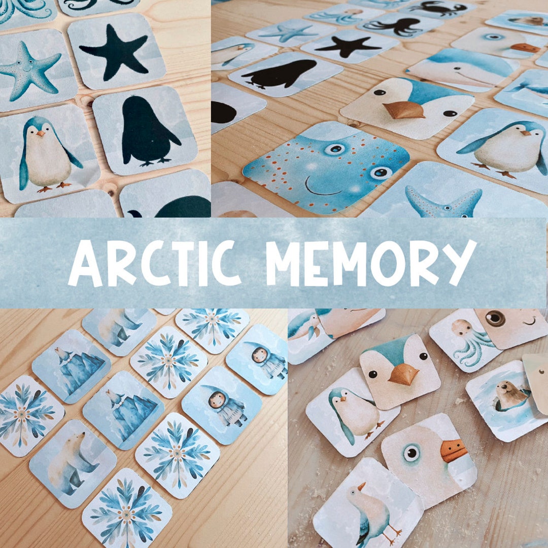 Arctic Memory, Arctic, Study, Memory, Arctic, Montessori, Homeschooling ...