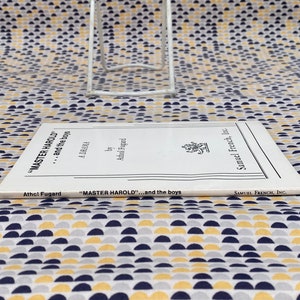 Master Harold ... and the Boys - Athol Fugard - Vintage Paperback Book ...