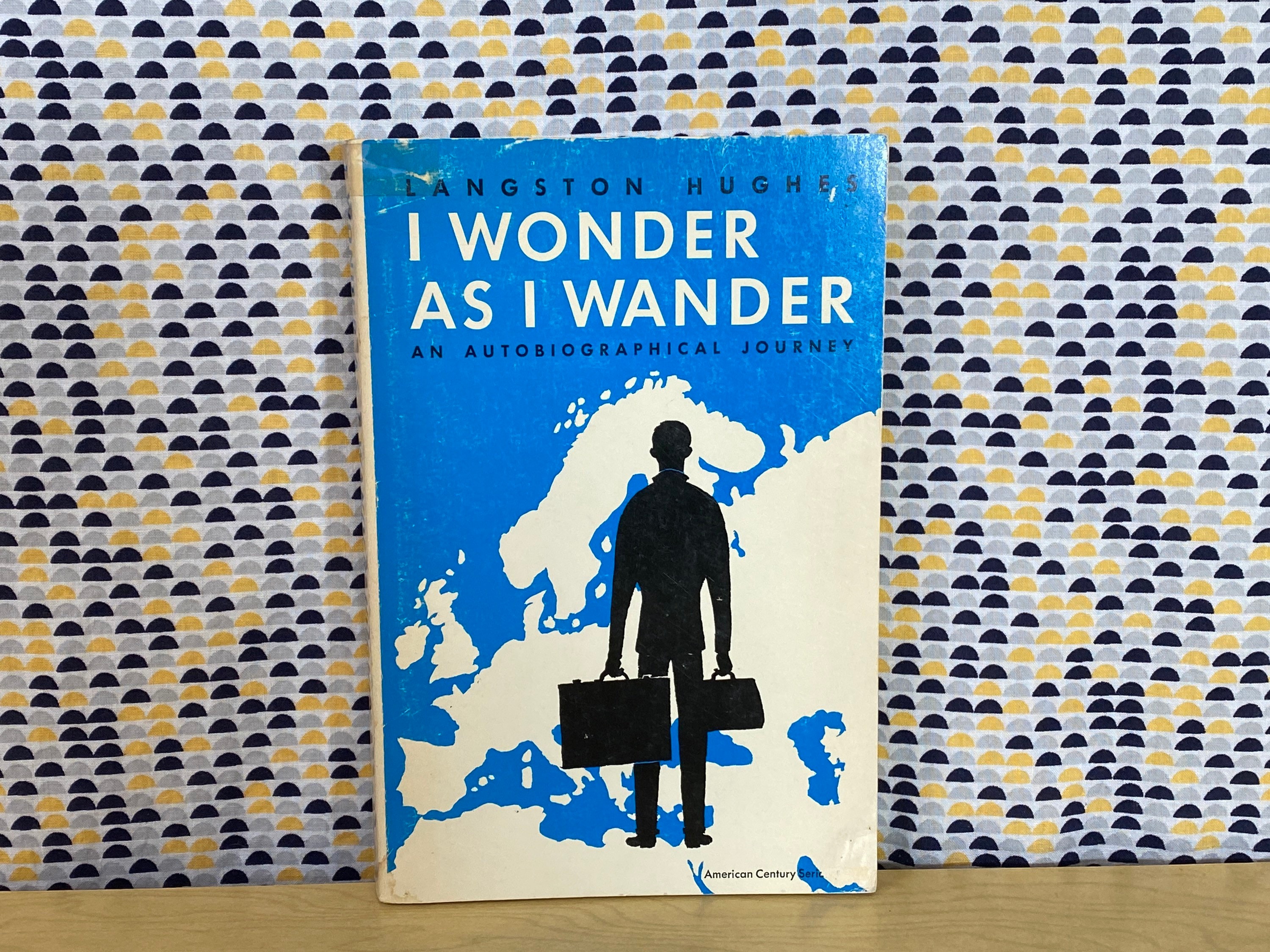 I Wonder As I Wander Langston Hughes