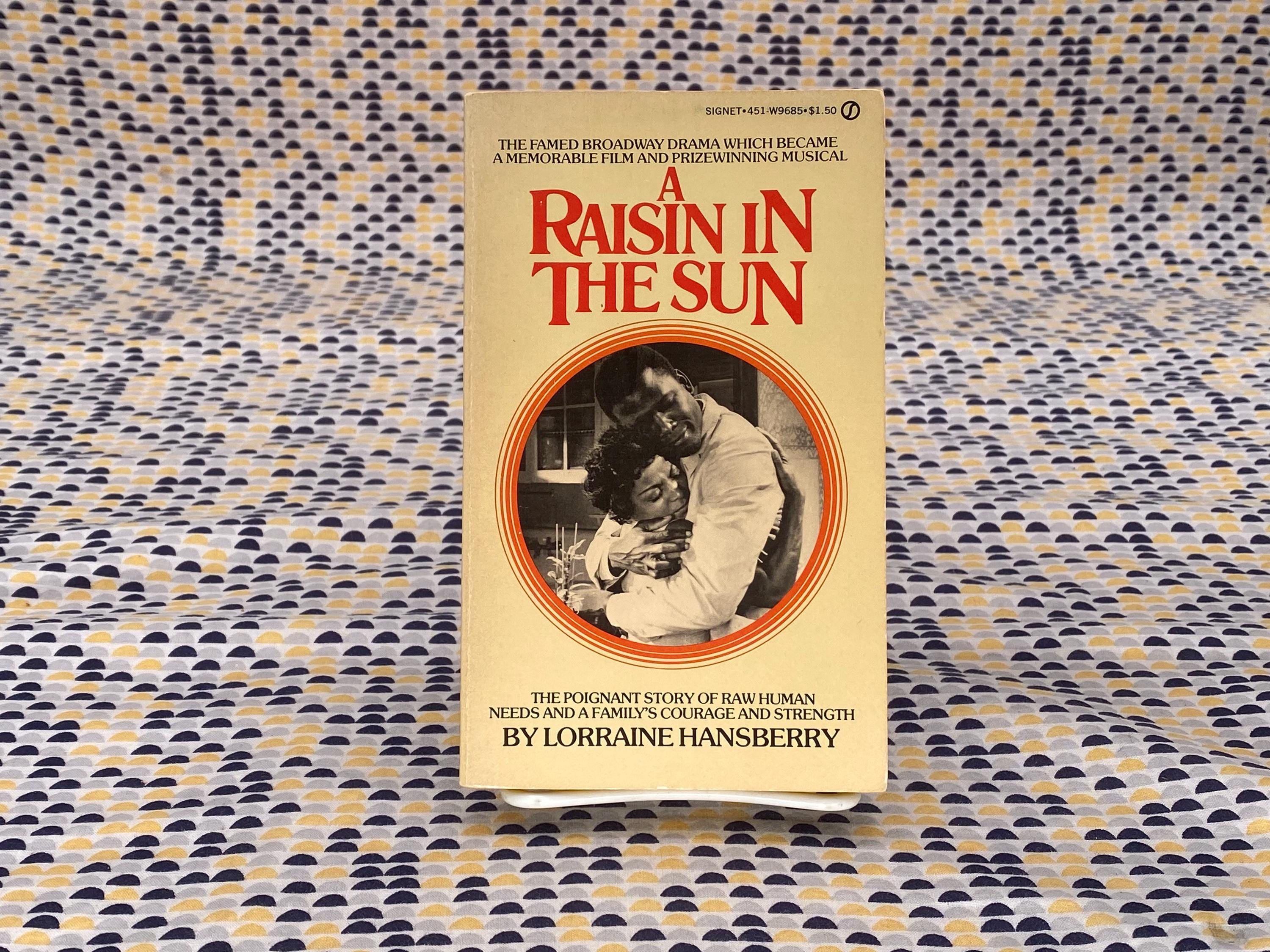 A Raisin In The Sun Book Lorraine Hansberry
