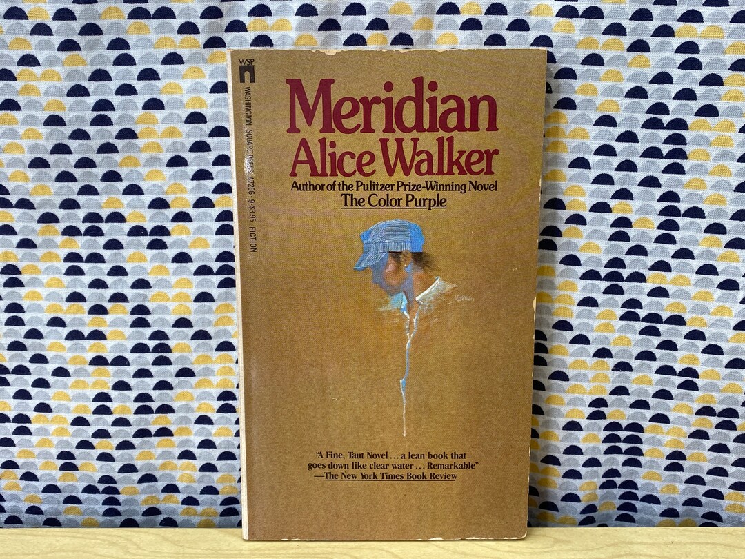 Meridian Alice Walker Vintage Paperback Book - Etsy