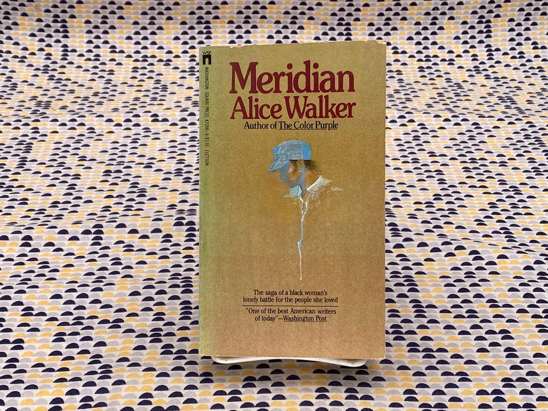 Meridian - Alice Walker - Vintage Paperback Book - Etsy