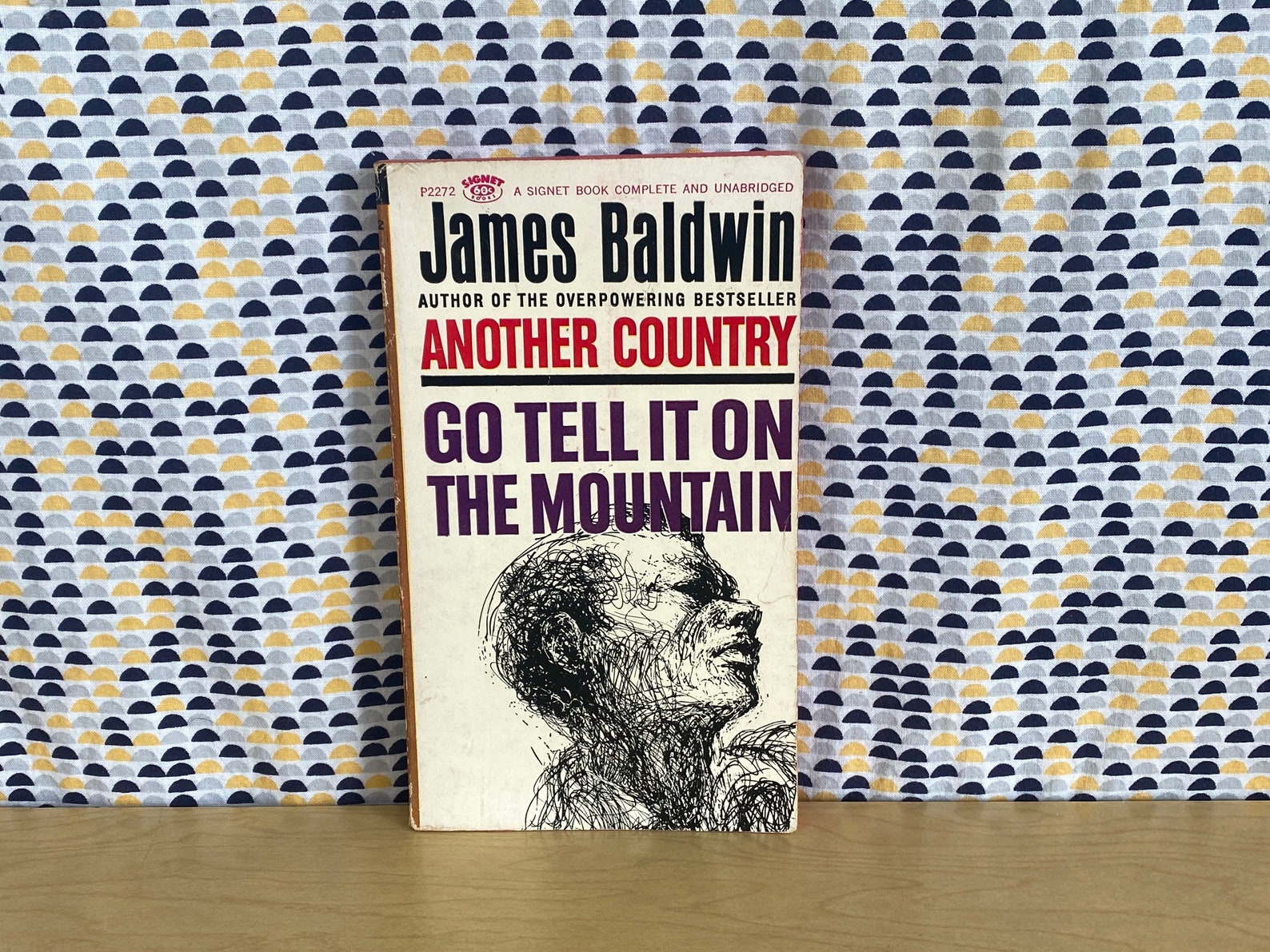 Go Tell It on the Mountain James Baldwin Vintage | Etsy