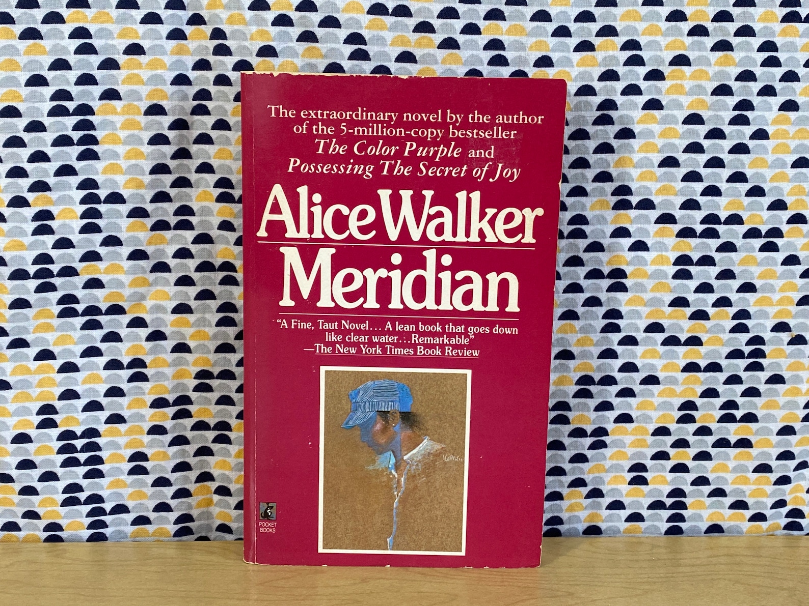 Meridian Alice Walker Vintage Paperback Book | Etsy