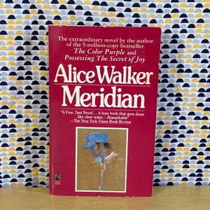 Meridian Alice Walker Vintage Paperback Book | Etsy
