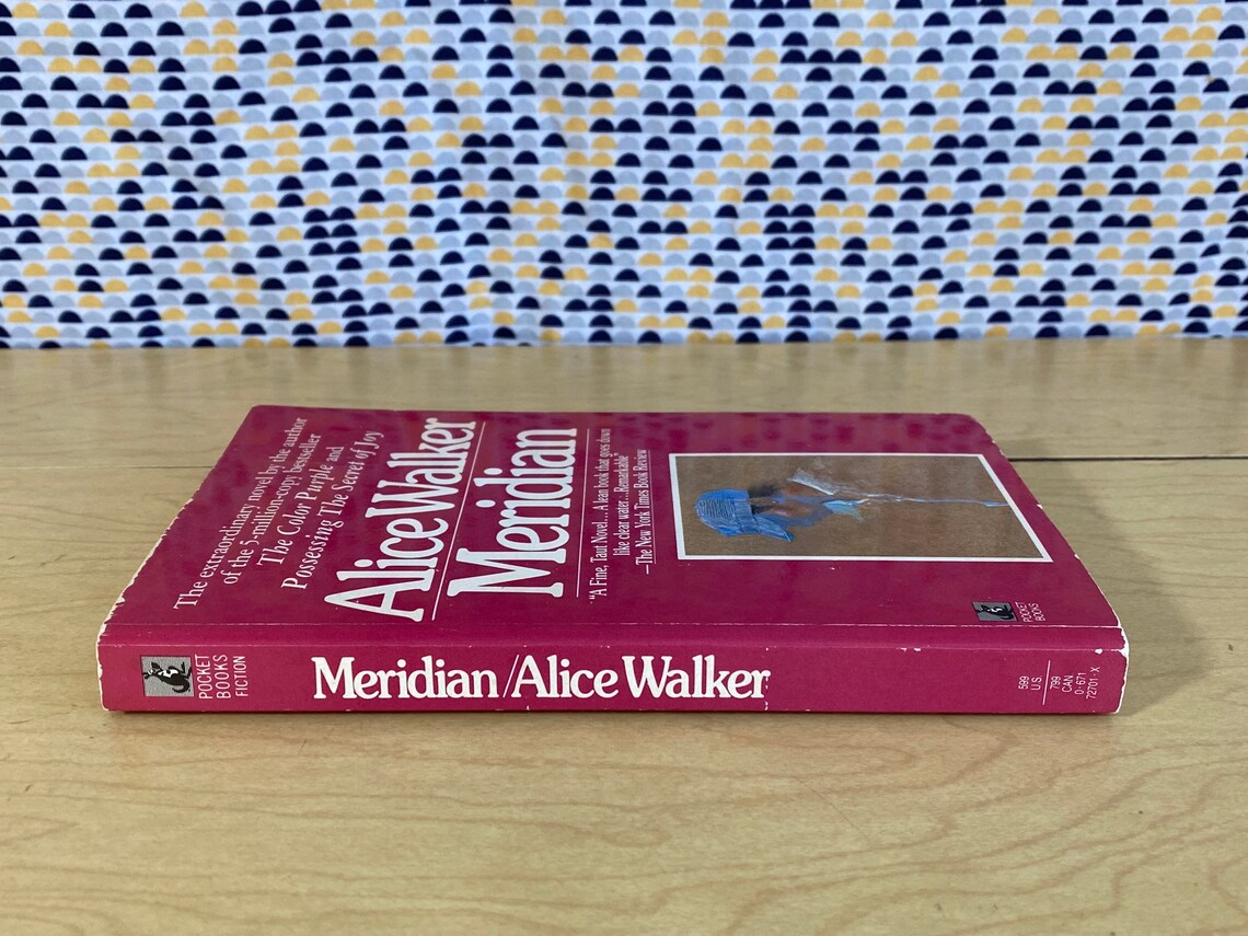 Meridian Alice Walker Vintage Paperback Book | Etsy