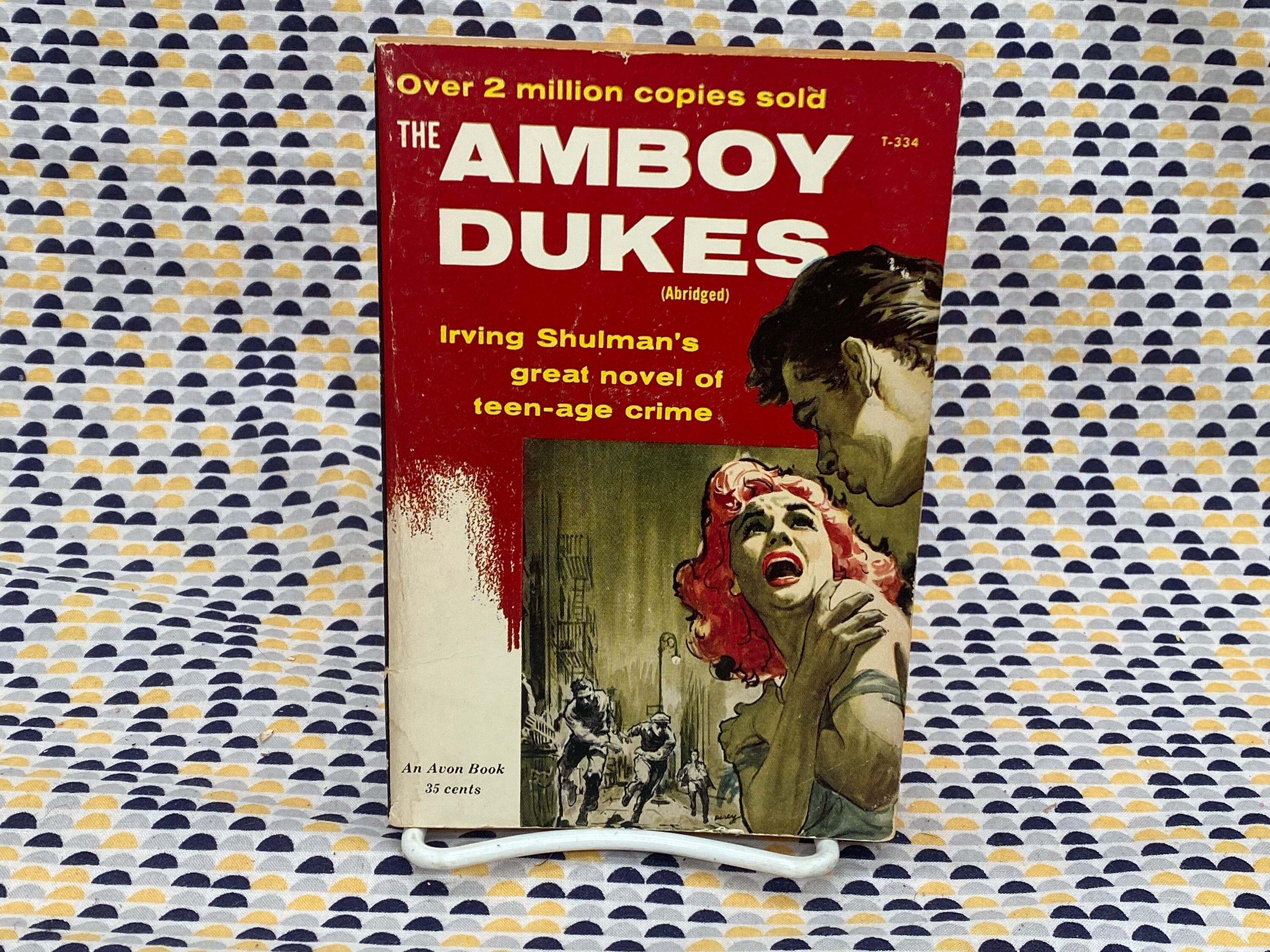 The Amboy Dukes Novel