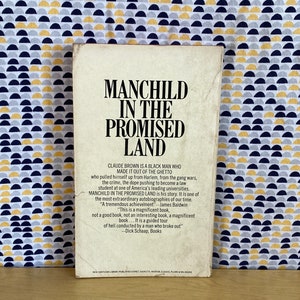 Manchild in the Promised Land Claude Brown Vintage Paperback Book ...