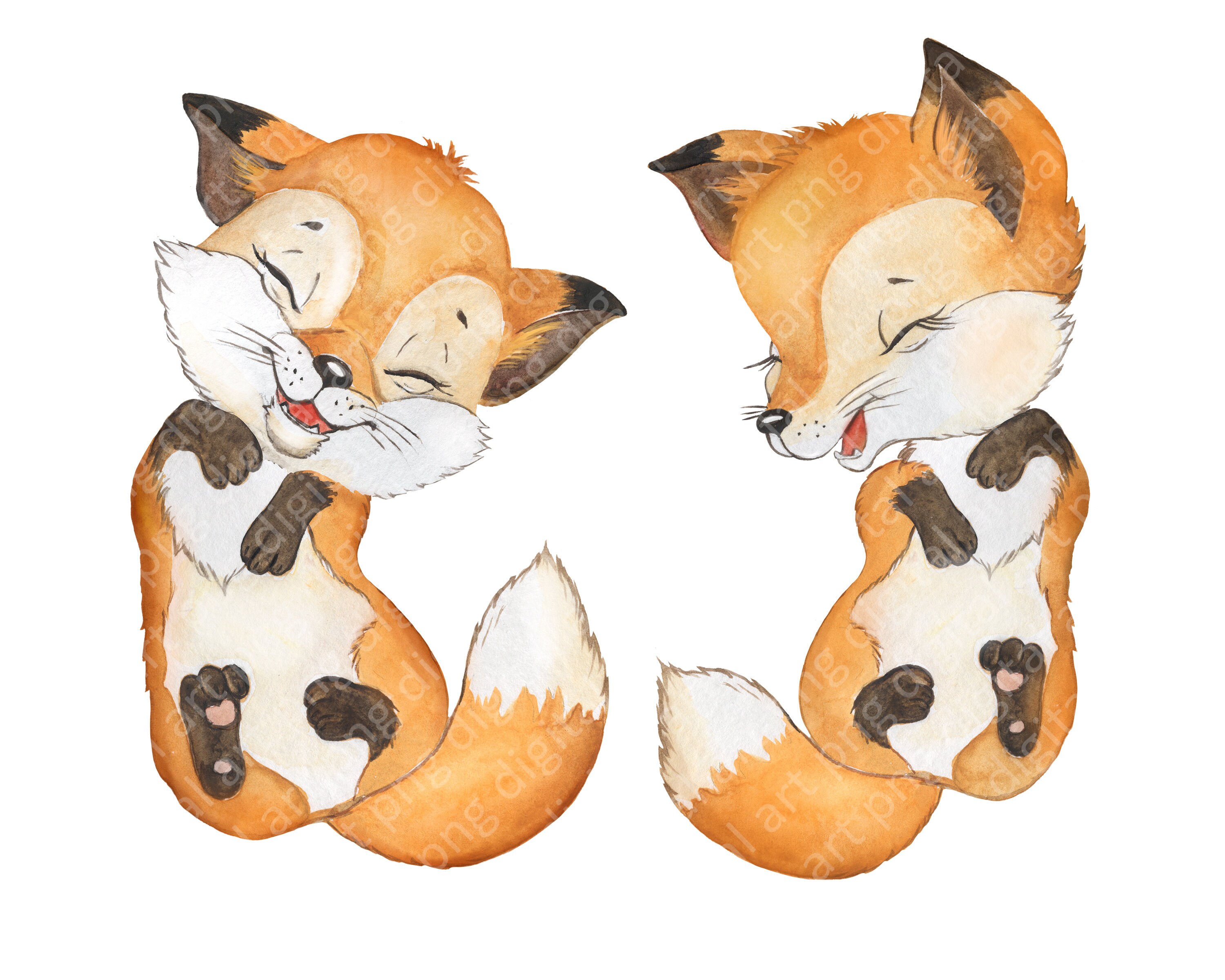 Fox watercolor clipart. Forest animals fox clipart set. Fall | Etsy