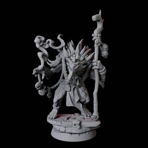 Old Lizardfolk Wizard Miniature for D&D, Dungeons and Dragons ...