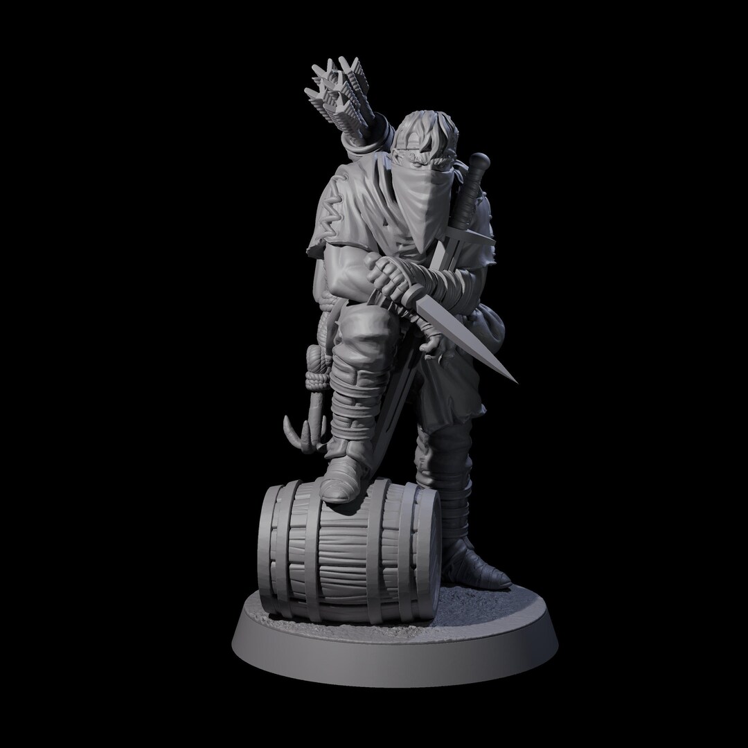 Rough Road Bandit E Miniature for D&D, Dungeons and Dragons, Pathfinder ...