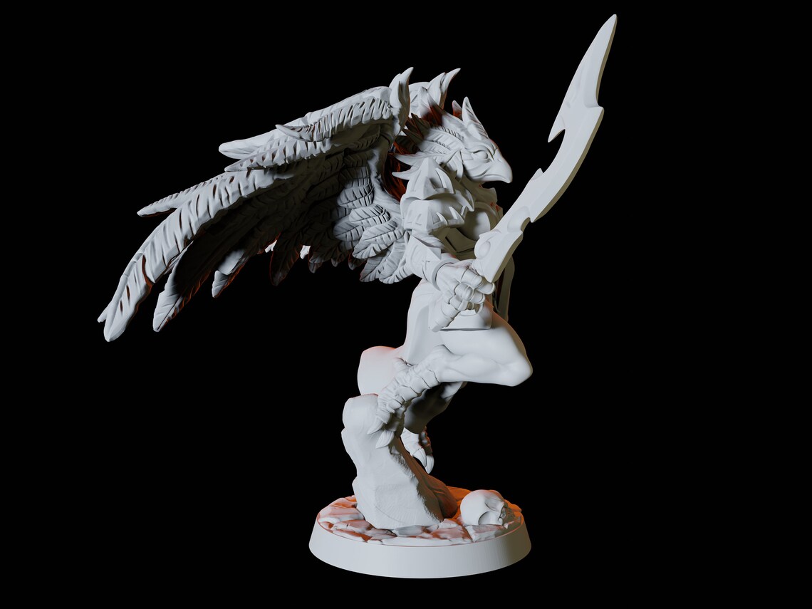 Female Aarakocra Fighter for D&D Dungeons and Dragons - Etsy