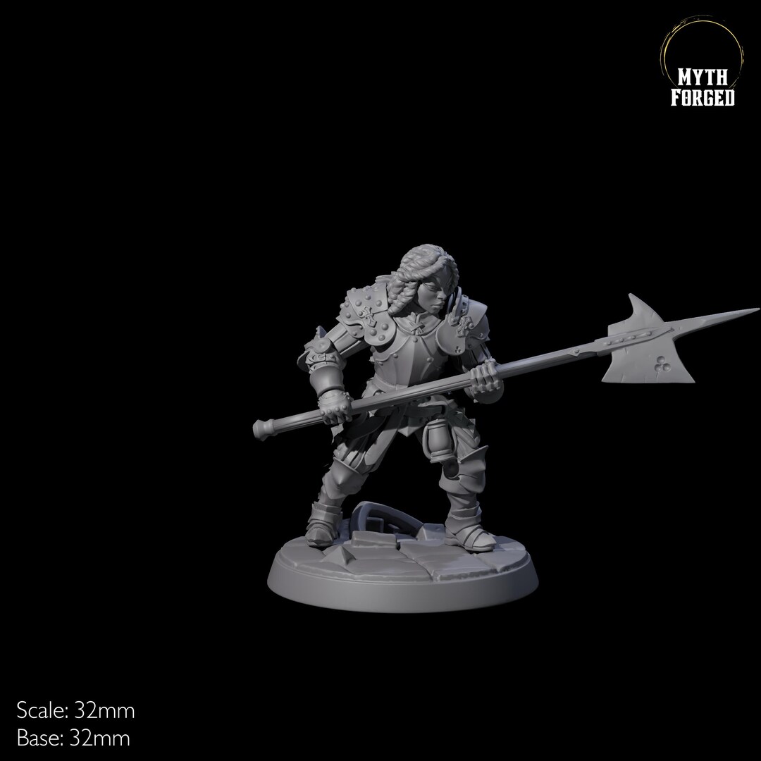 Armoured Human Fighter Miniature F - City Guard or Paladins for D&D ...