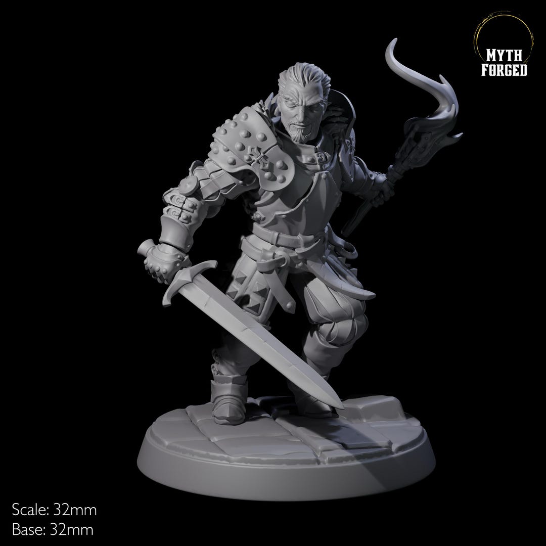 Armoured Human Fighter Miniature B - City Guard or Paladins for D&D ...