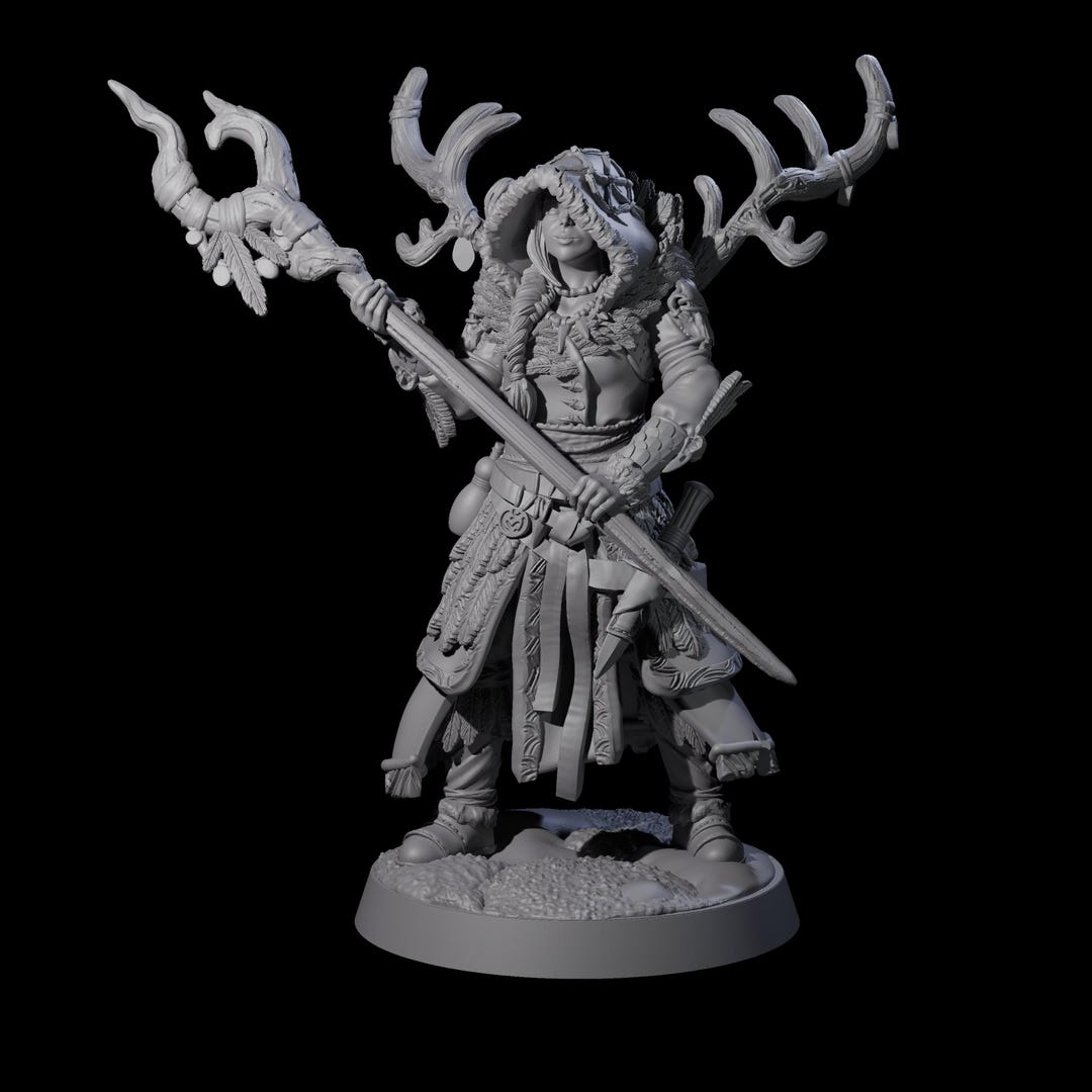 Confident Woodland Druid Miniature for D&D, Dungeons and Dragons ...