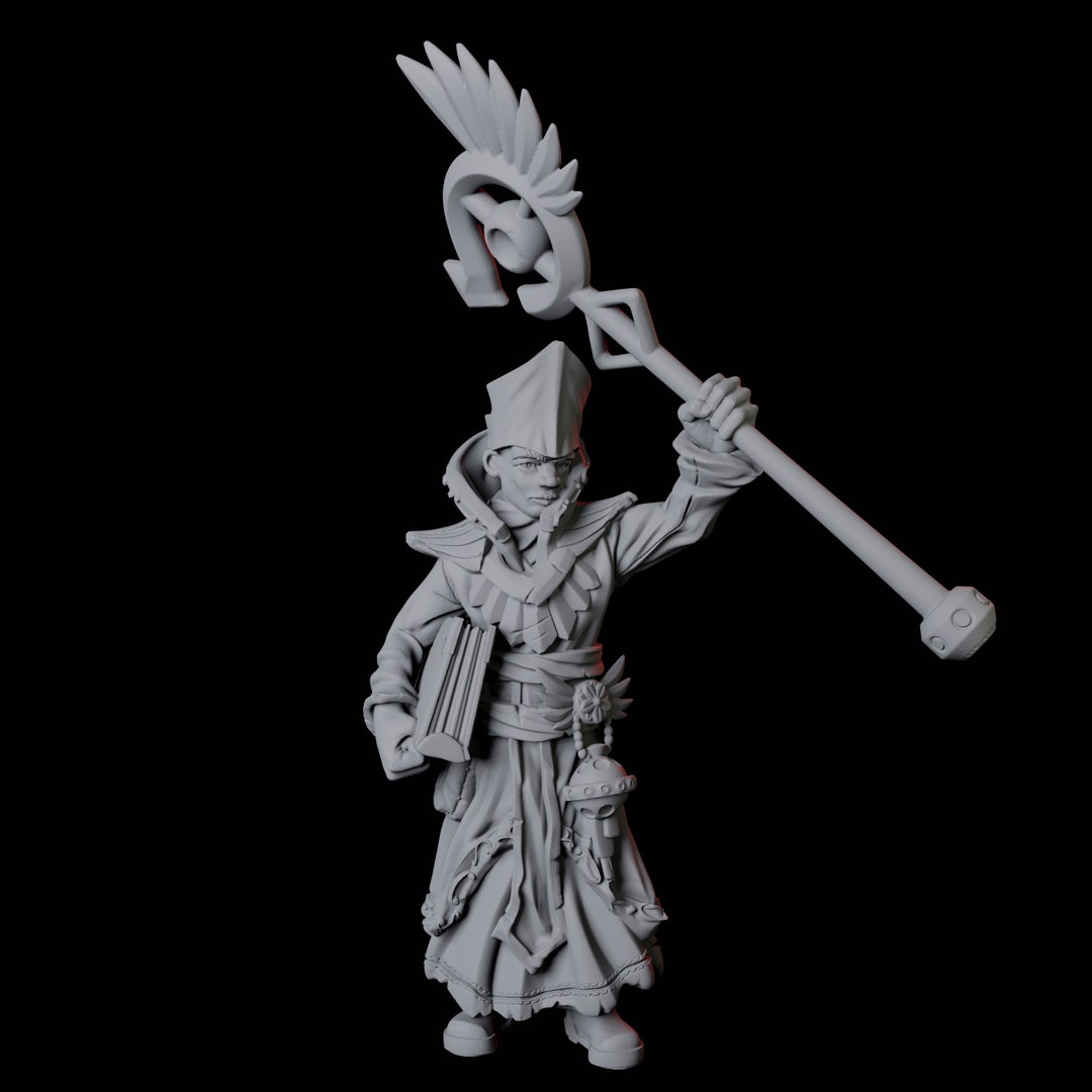 Noble Priest A Miniature for D&D, Dungeons and Dragons, Pathfinder and ...