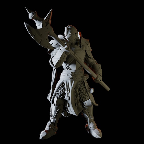 Royal Knight Miniature A for D&D Dungeons and Dragons - Etsy