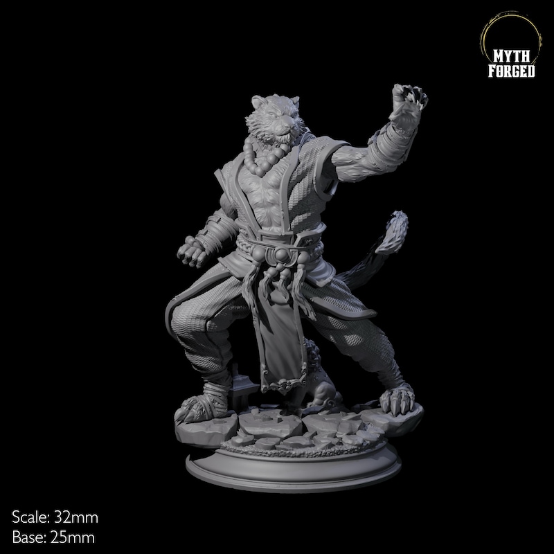 Monk Lizard - Etsy UK