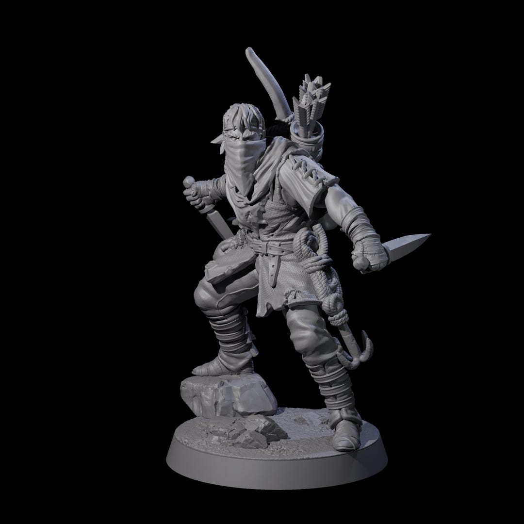 Rough Road Bandit D Miniature for D&D, Dungeons and Dragons, Pathfinder ...