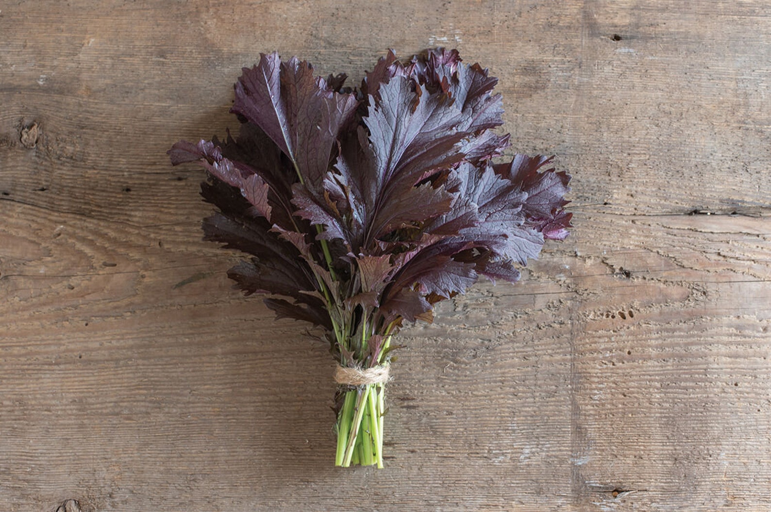 Asian Greens Mix American Asian Vegetable Seeds 50 - Etsy