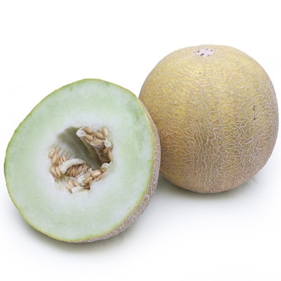 Melón gala melón semillas blancas 30 - Etsy España