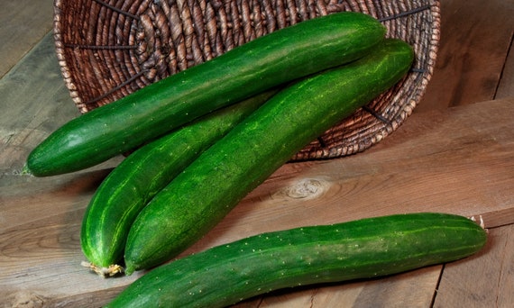Cucumber Japanese cucumber tasty green seeds 10 | Etsy