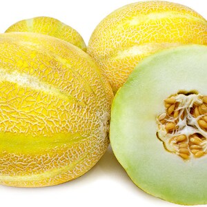 Melons Lemon Drop Melon Seeds 15 - Etsy
