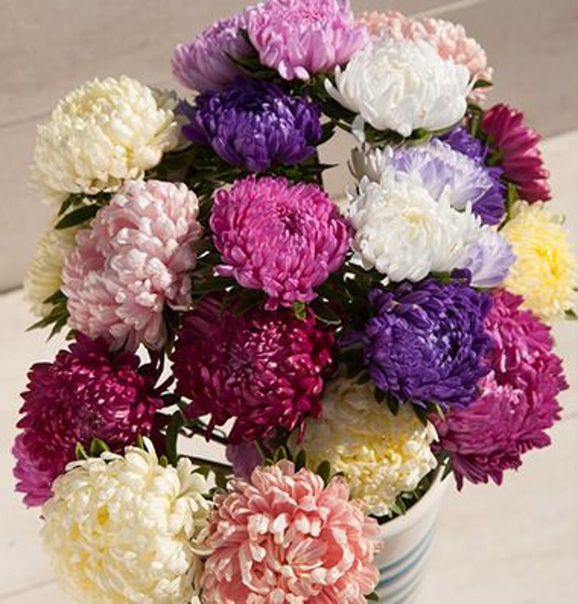 Aster Tower Custom Mix Sees 50 - Etsy