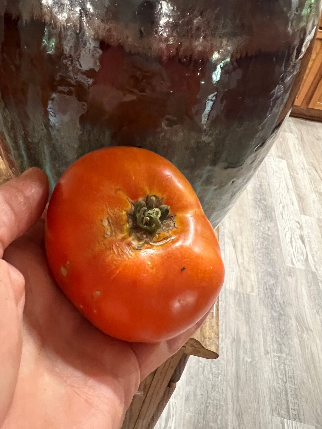 Tomato Bella Rosa , Tomato Seed 20 - Etsy