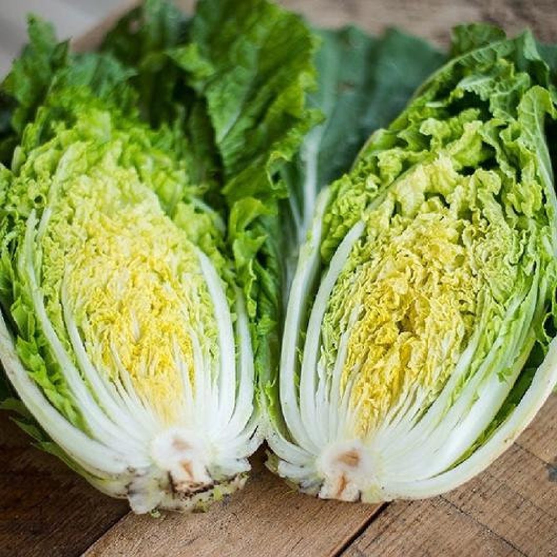 Cabbage Chinese Michihili Heirloom Seed 60 | Etsy