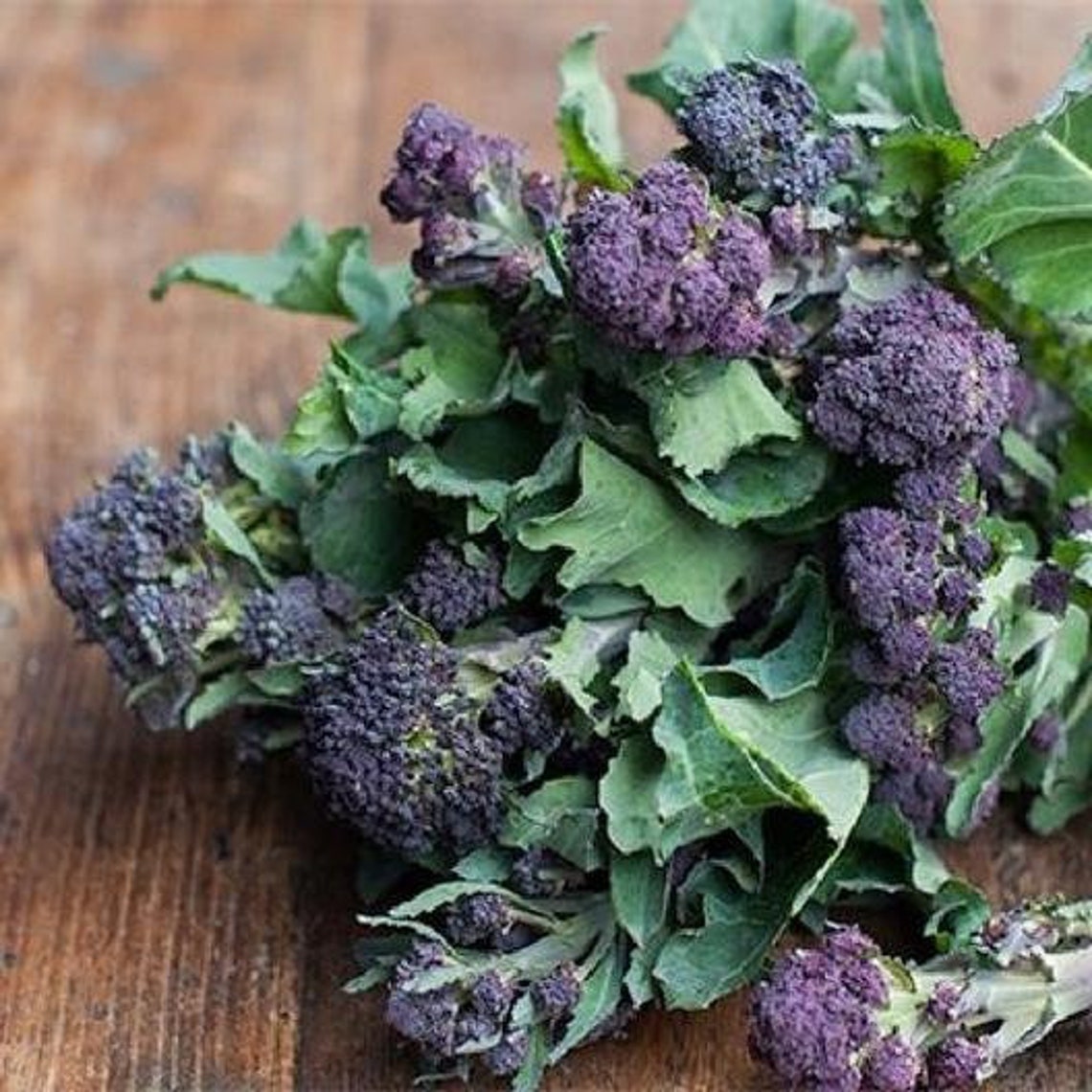 Broccoli Purple Sprouting Heirloom Seeds 50 - Etsy