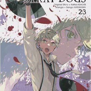 Bungo Stray Dogs Manga Set Vol 1-25 by Kafka Asagiri English Version Comic Book NEW - Fast DHL ...