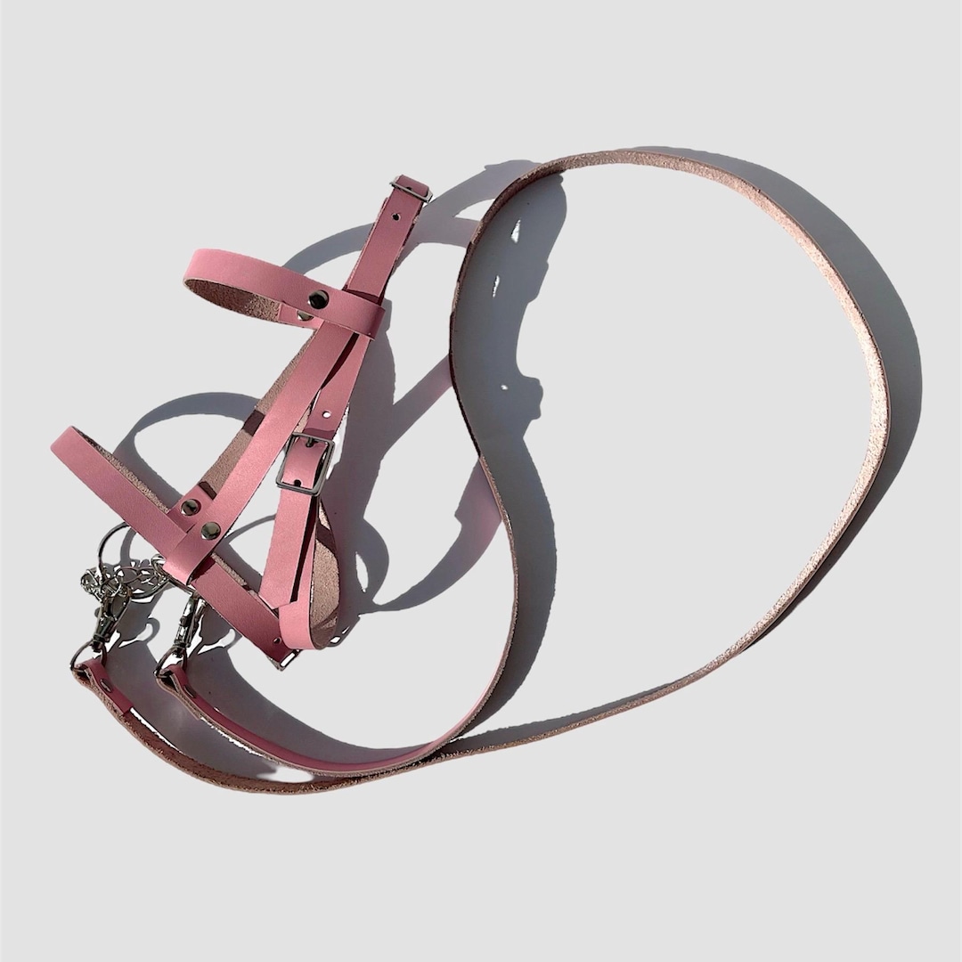Hobby Horse Bridle, From Real Leather (pink Bridle for Hobbyhorse, High ...