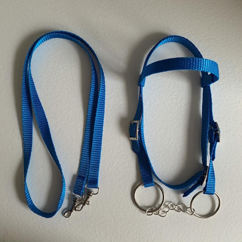 Blue Bridle With Reins for a Hobby Horse (stick Horse) - Etsy