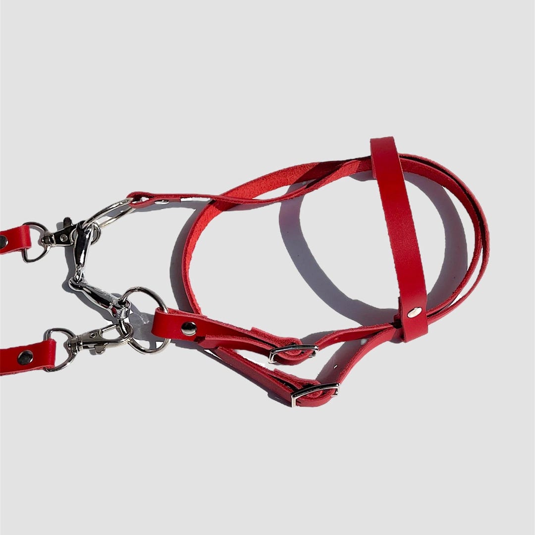 Red Hobby Horse Bridle, From Real Leather (stick Horse Bridle, High ...