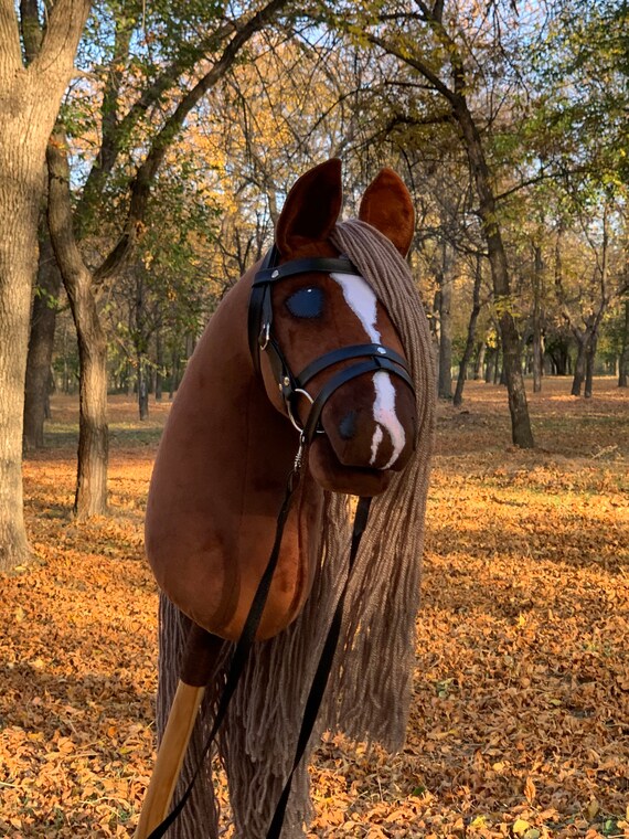 Flaxen Liver Chestnut Horse